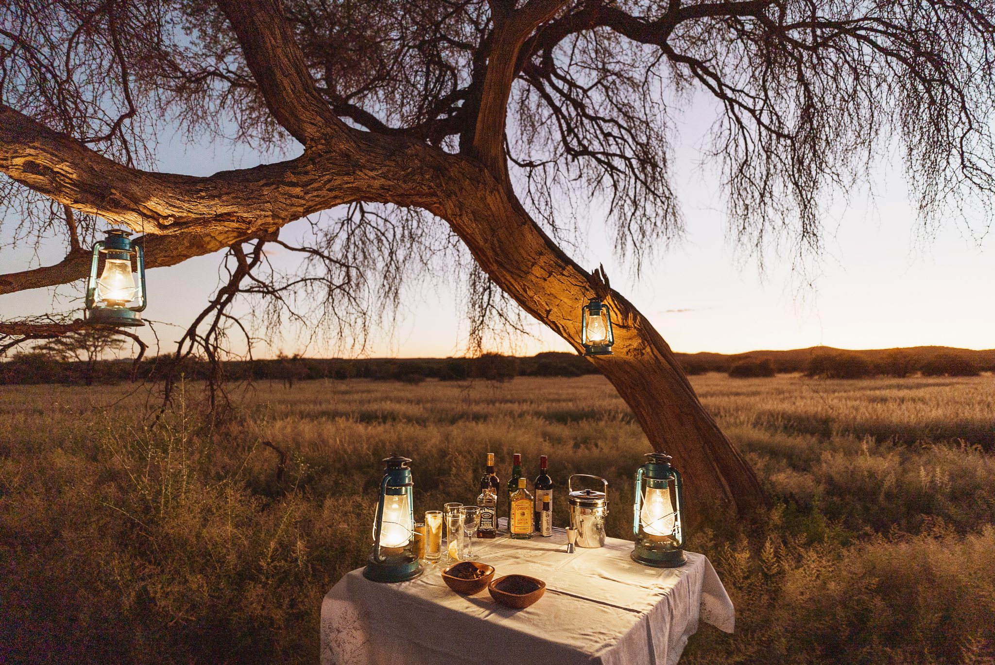 Discover Ohorongo: Best Luxury Safari Lodges in Namibia